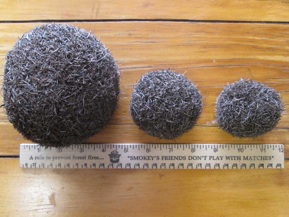 Nature’s Wonder: Pine Needle Balls – Montana Lake Book